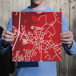 Davidson College Campus Map Art - City Prints