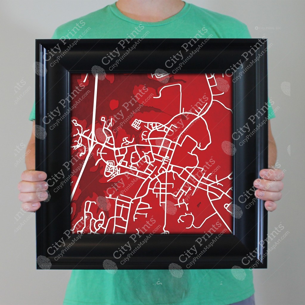 Davidson College Campus Map Art - City Prints