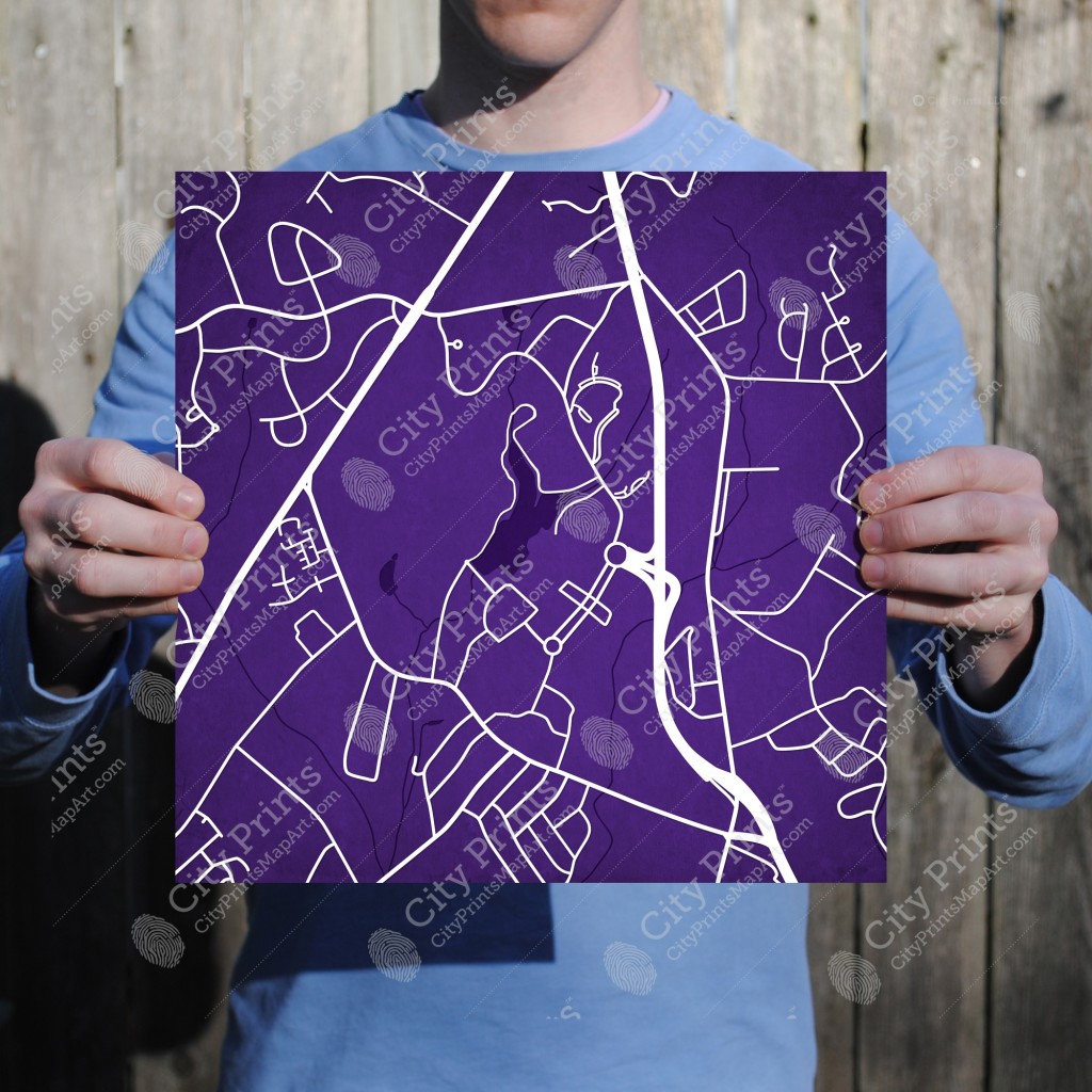 Furman University Campus Map Art - City Prints