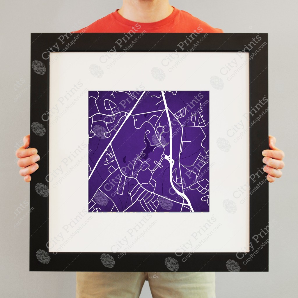 Furman University Campus Map Art - City Prints