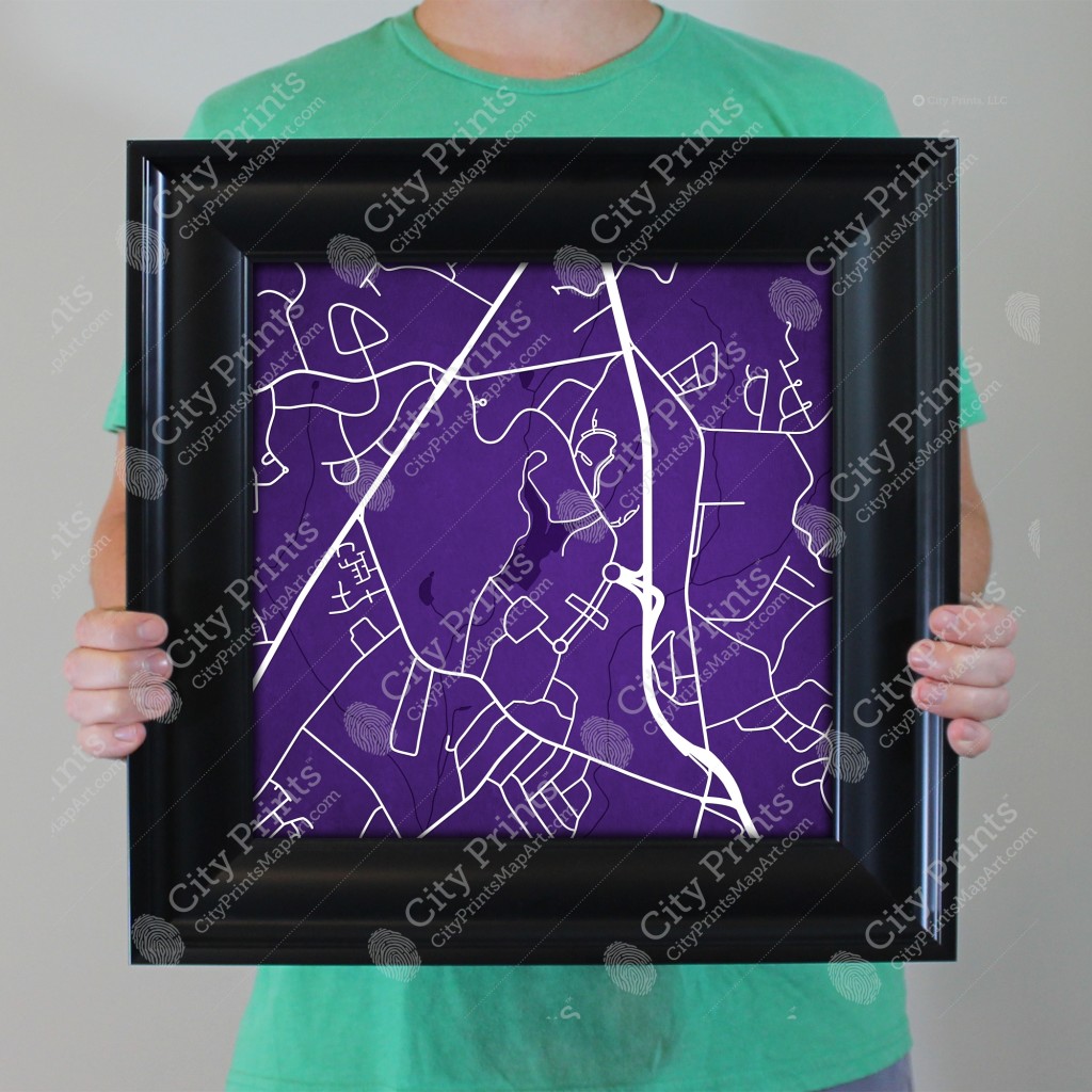 Furman University Campus Map Art - City Prints