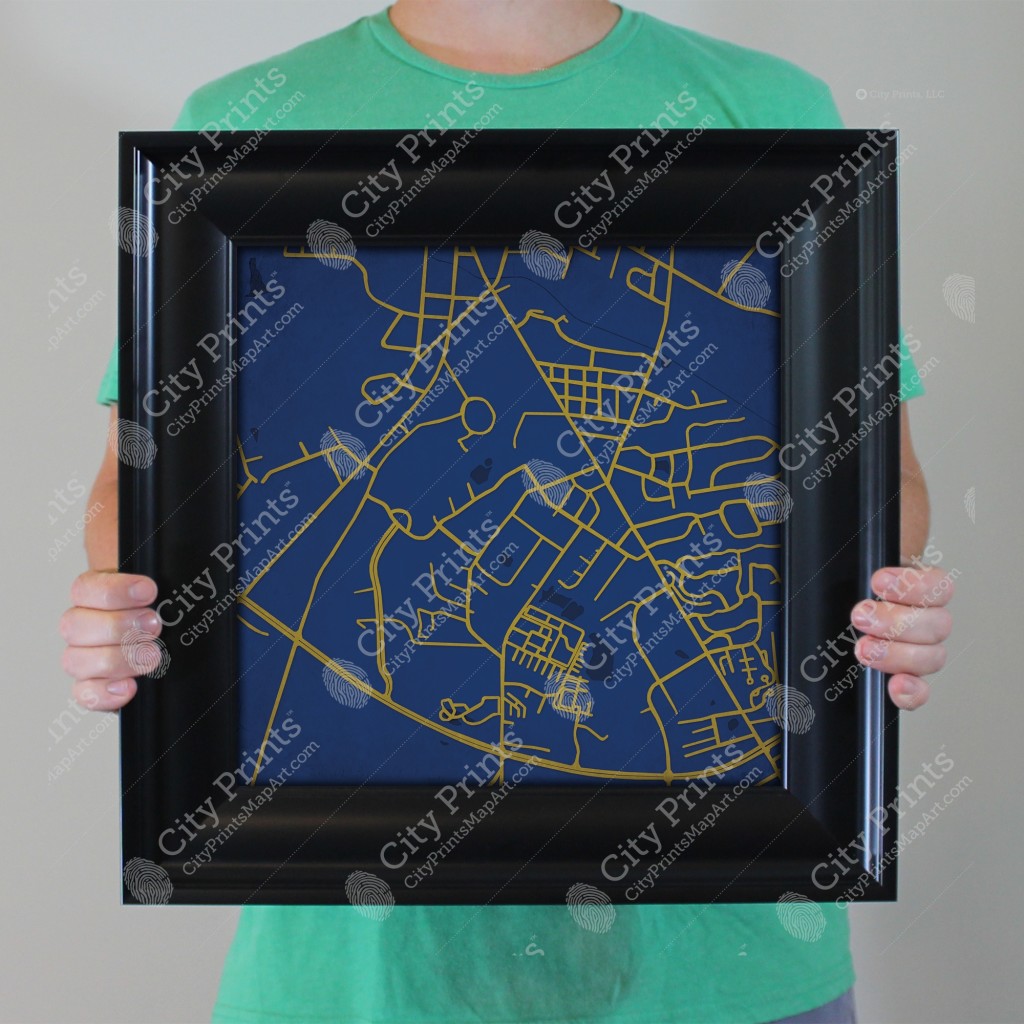 Georgia Southern University Campus Map Art - City Prints