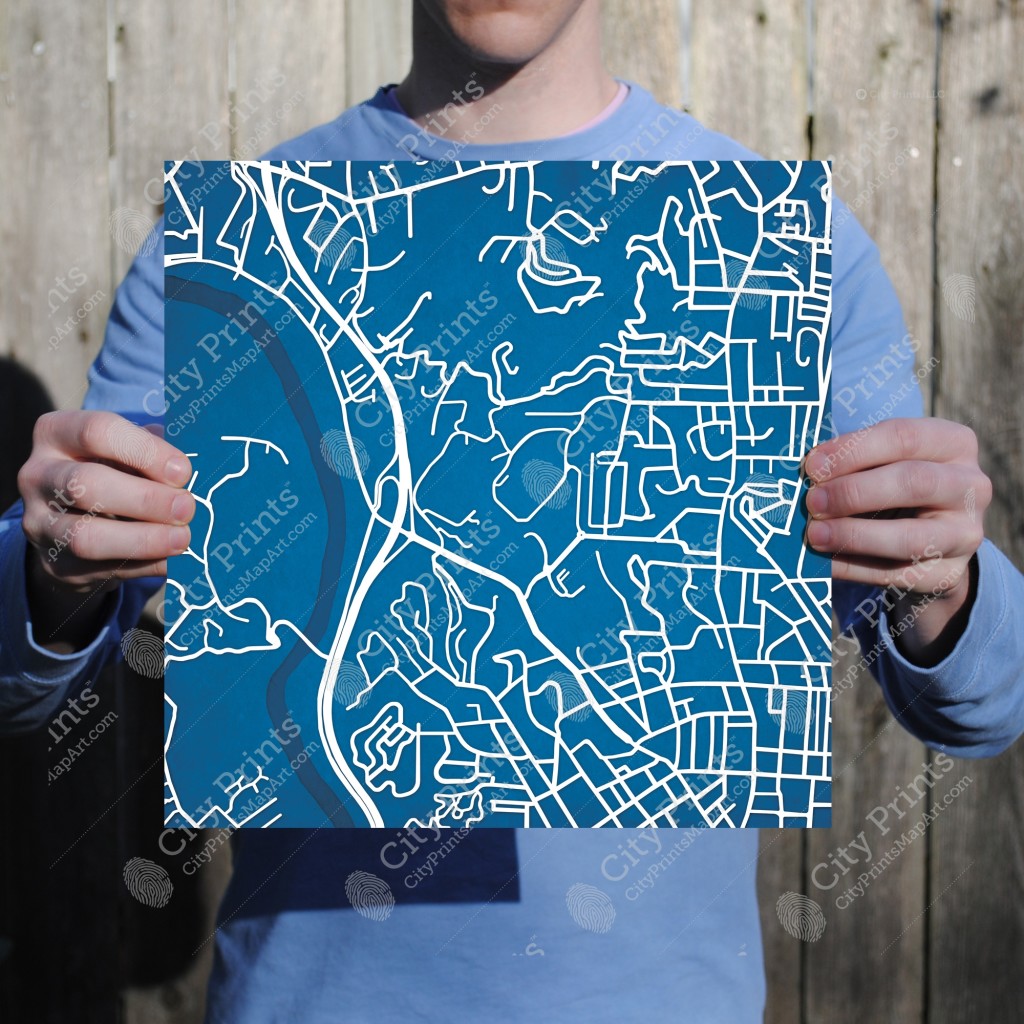 University of North Carolina at Asheville Campus Map Art - City Prints