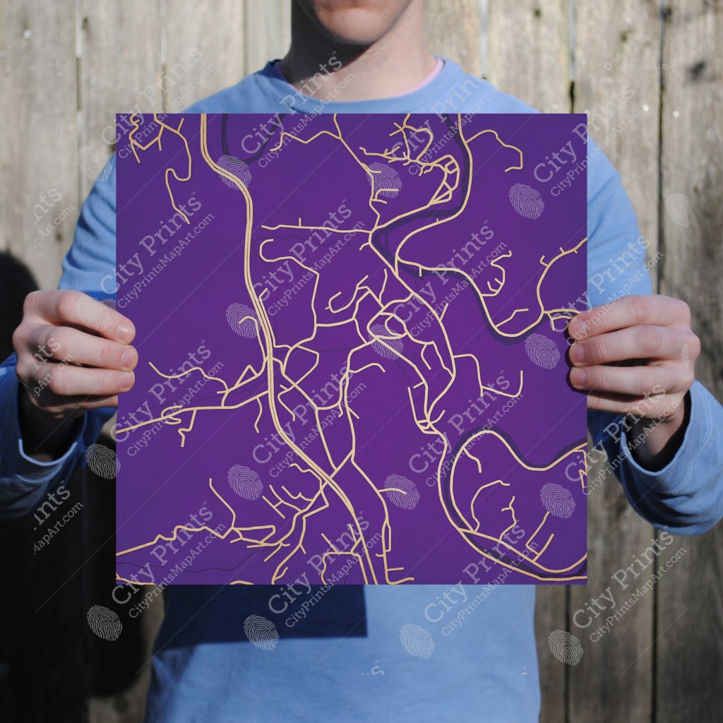 Western Carolina University Campus Map Art - City Prints