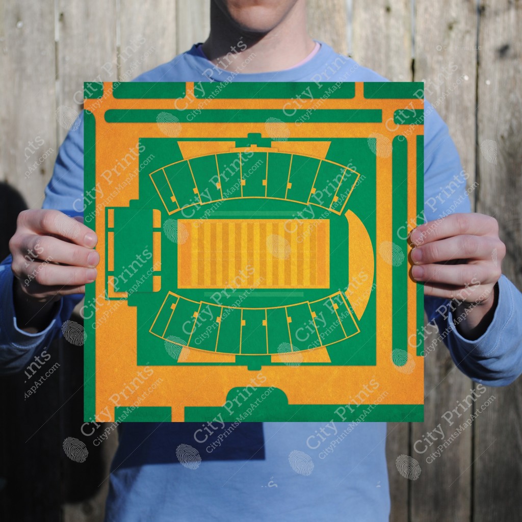 Bragg Memorial Stadium Map Art - City Prints