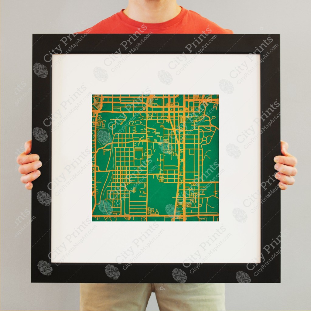 Florida A&M University Campus Map Art - City Prints