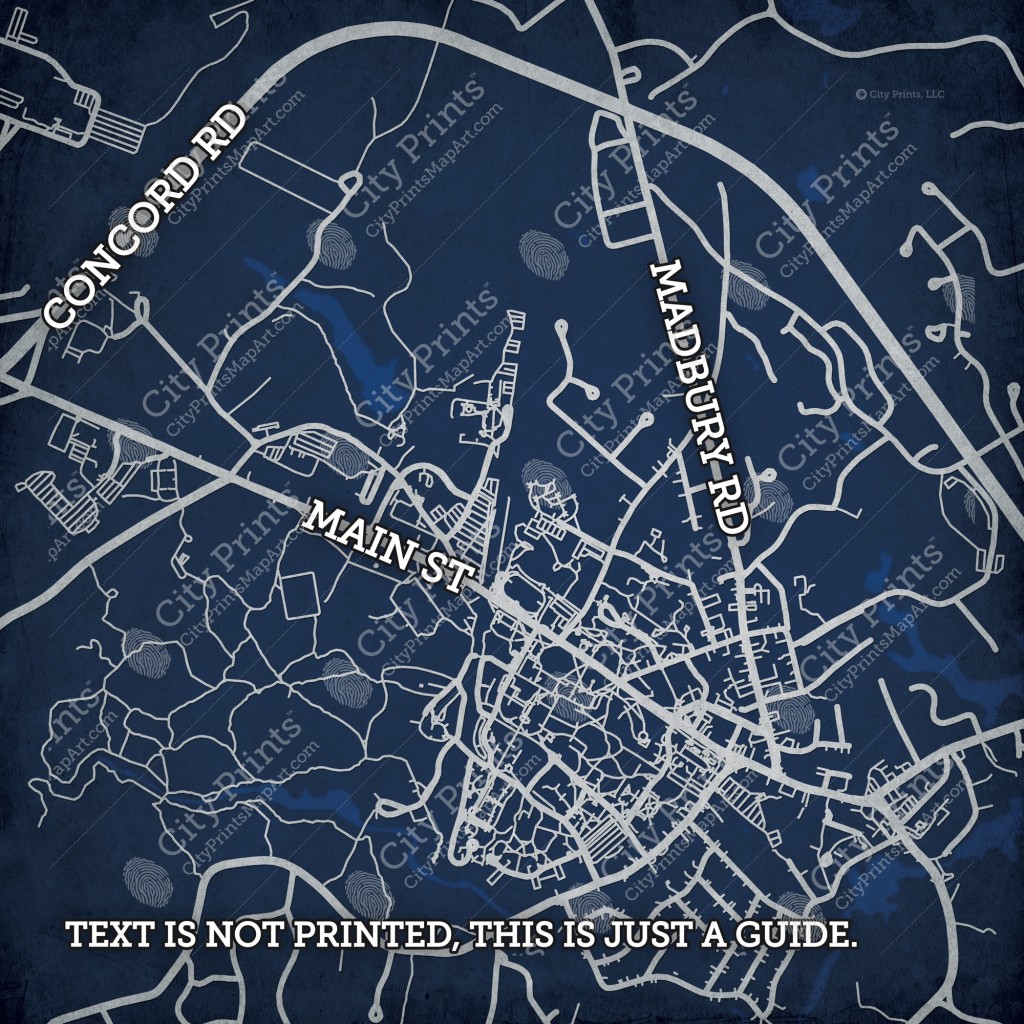 University of New Hampshire Campus Map Art - City Prints