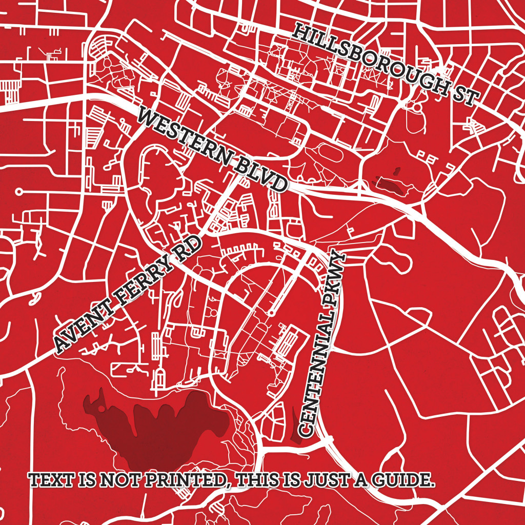 North Carolina State University Campus Map Art - City Prints