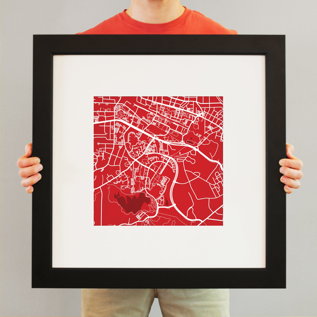 North Carolina State University Campus Map Art - City Prints