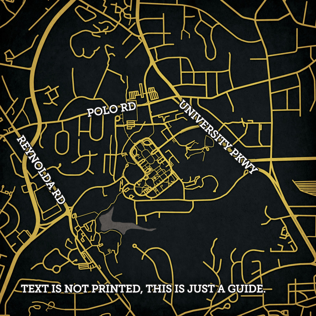 Wake Forest University Campus Map Art - City Prints