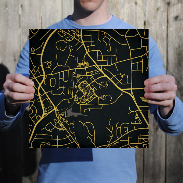 Wake Forest University Campus Map Art - City Prints